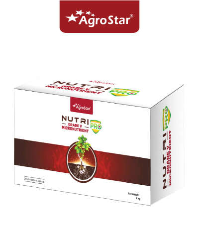 AgroStar NUTRIPRO Grade 5 ( Micronutrient Mix-GJ) 2kg - Agrostar