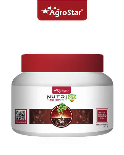 AgroStar Nutripro Zinc ( Zn 17% HEDP ) 100 g - Agrostar