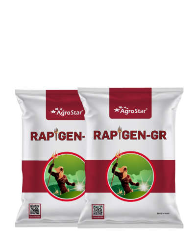 AgroStar AgroStar Rapigen GR (Chlorantraniliprole 0.4% GR) 2kg - Agrostar