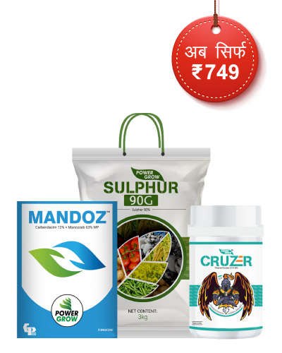 Sulphur Mills COSAVET DF (Sulphur 80% WG (Micronised)) 1 kg - Agrostar