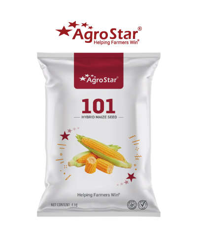 AgroStar Agrostar Hyb. 1221 Maize (5 kg) Seeds - Agrostar
