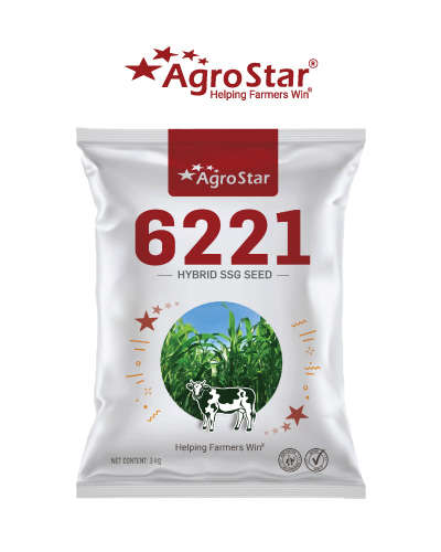 AgroStar Agrostar 6221 SSG Fodder (3 Kg) Seed - Agrostar