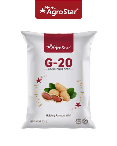 AgroStar Agrostar G-20 Groundnut (20 Kg) Seed - Agrostar