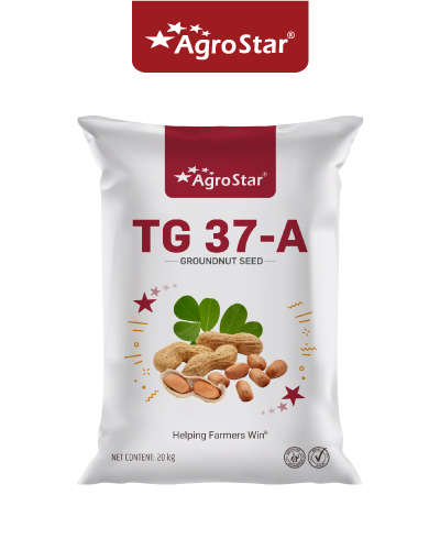 AgroStar Agrostar TG 37- A Groundnut (20 Kg) Seed - Agrostar